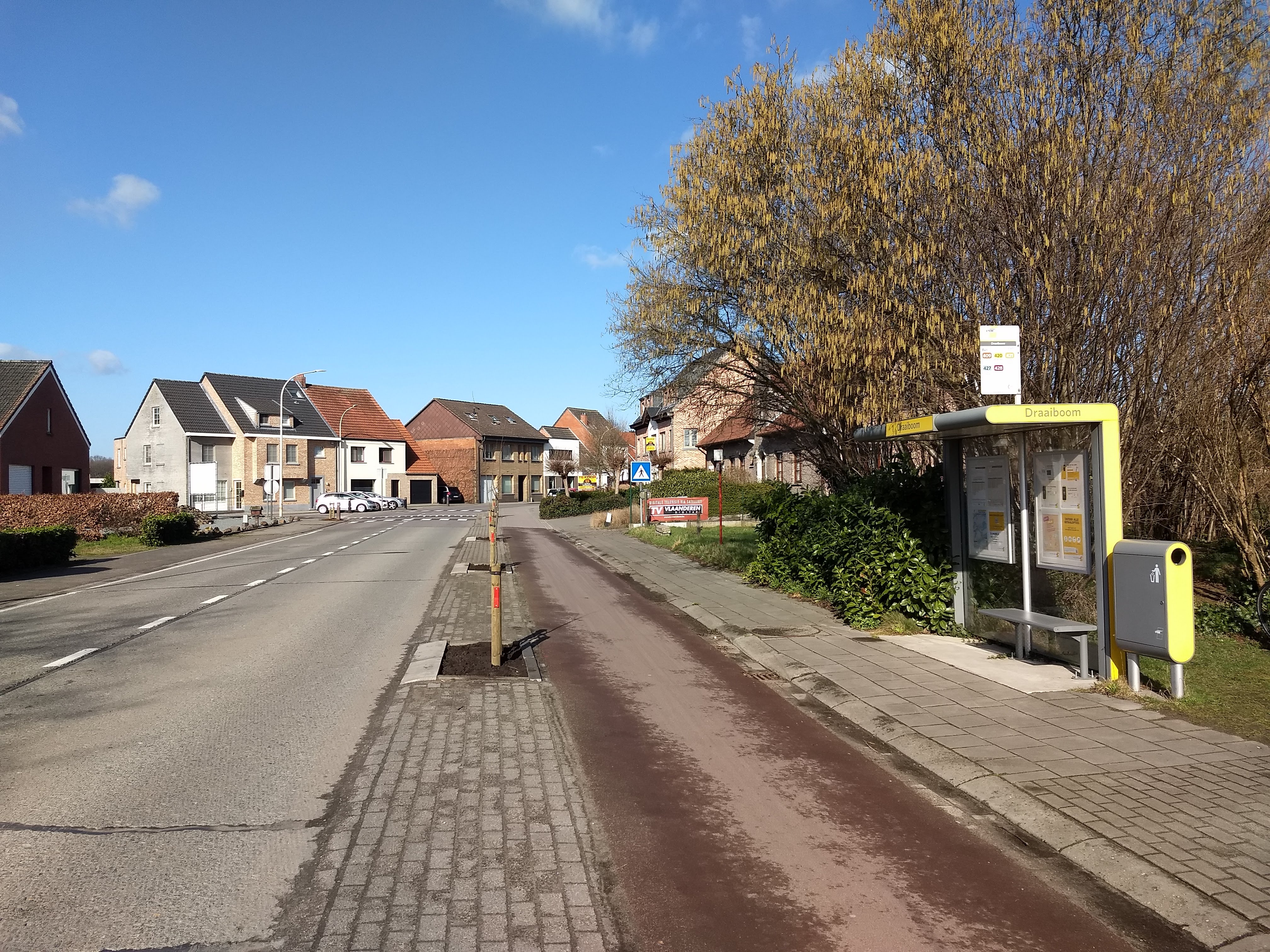Verkeer op school | Delen van de rijbaan